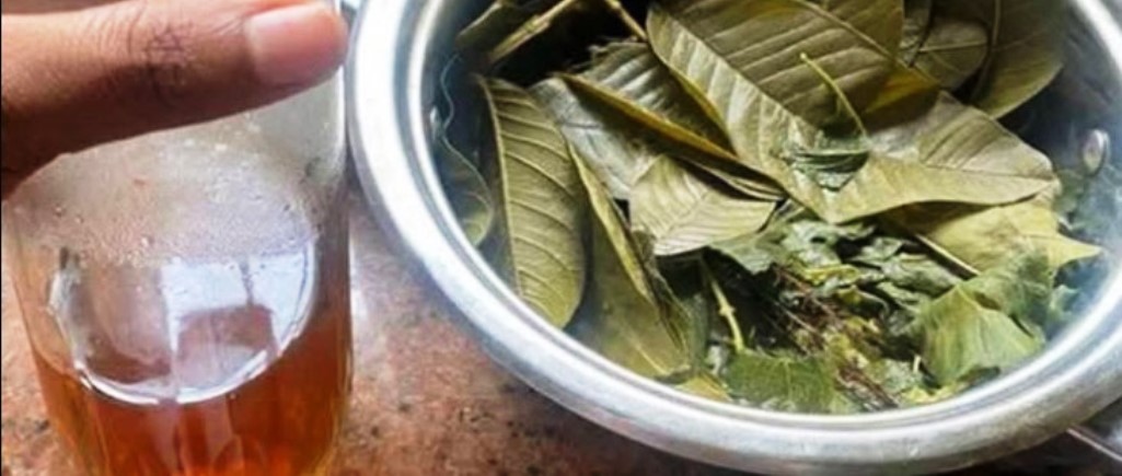 Ibibabi by'Amapera umuti mwiza w'umubiri wawe - Rebero